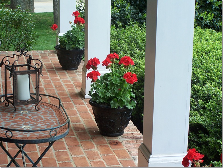 Pickles and Cheese: Geraniums on the Front Porch